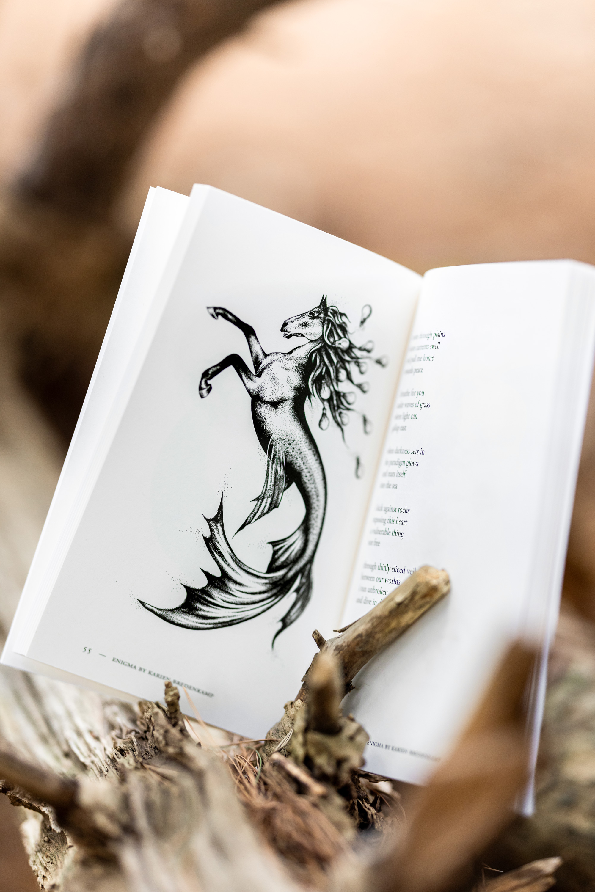 Author Spotlight: Karien Bredenkamp | 48 Hour Books